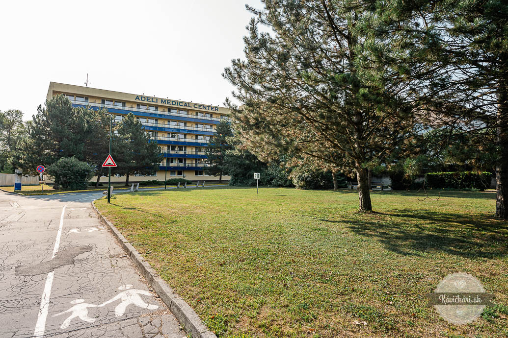 Piešťanské Adeli oslávilo jubileum: Už 20 rokov pomáhajú ľuďom zlepšiť ...